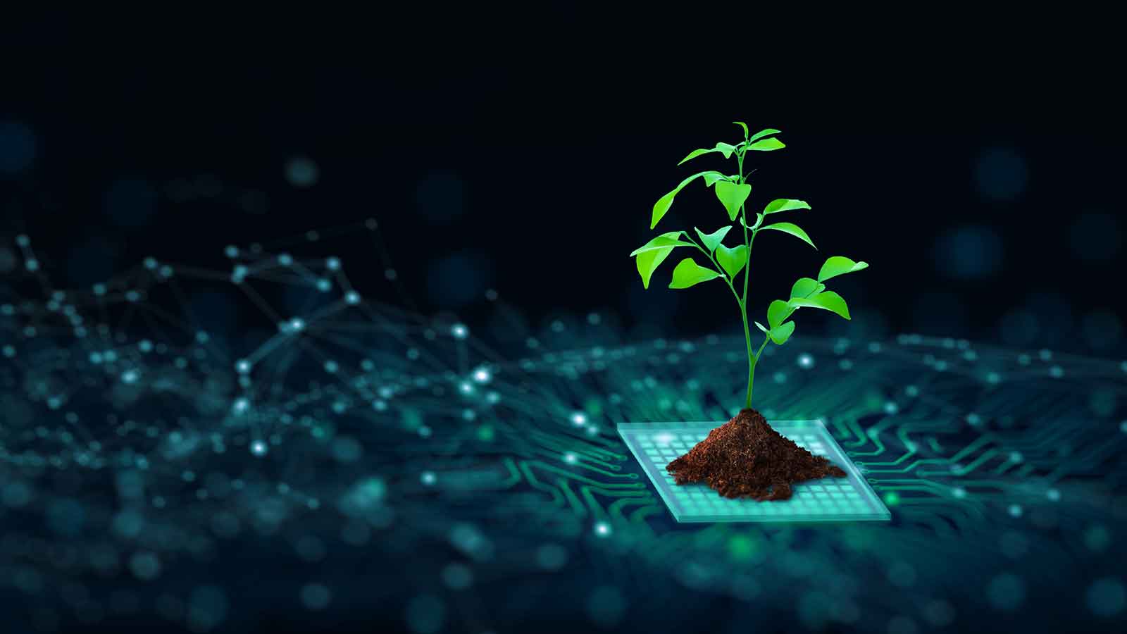 A Sustainable Future: Designing Greener Experiences and Using ...